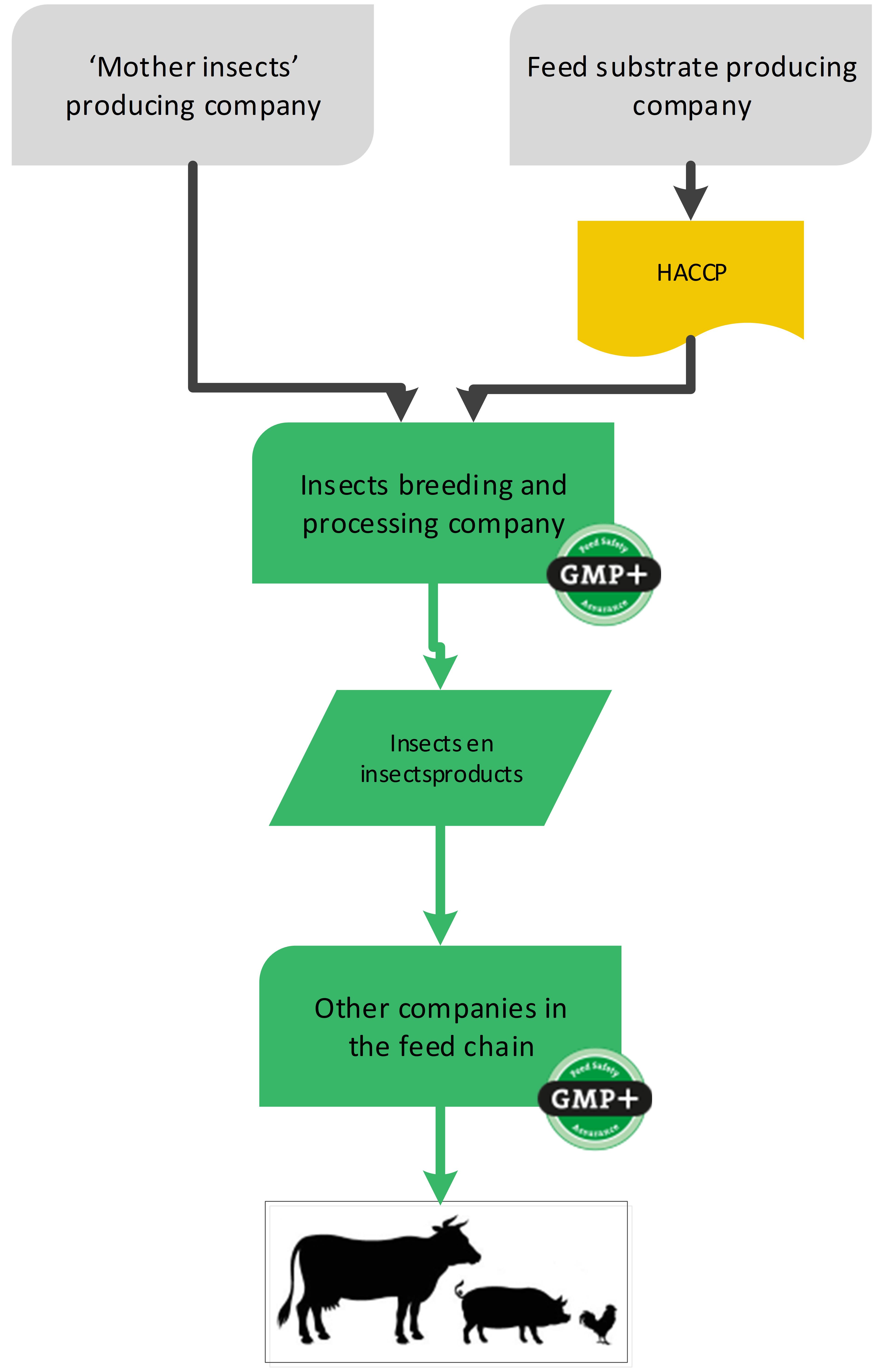 GMP+ International | S9.3 - Explanation of GMP+ feed chain