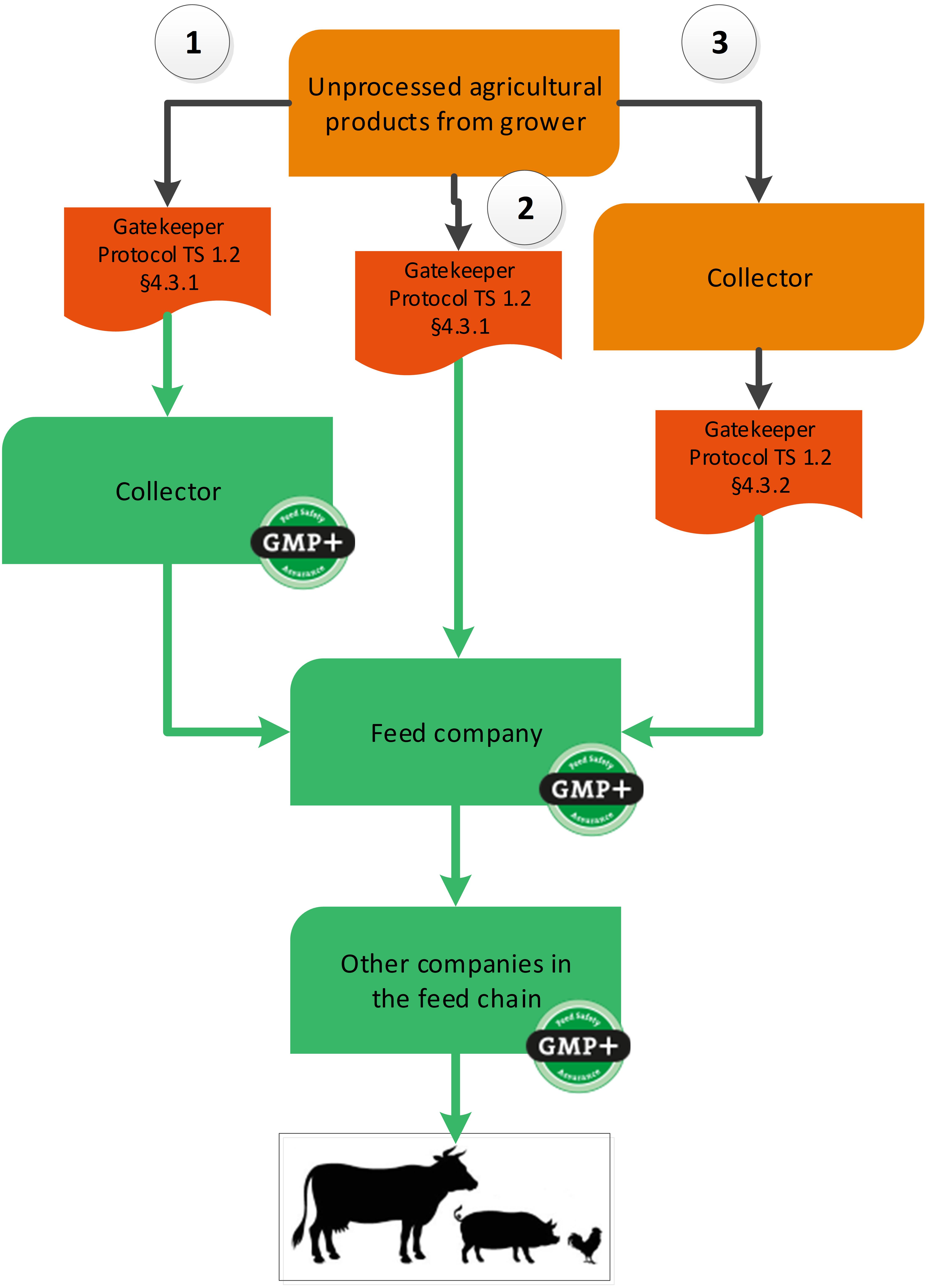 GMP+ International | S9.3 - Explanation of GMP+ feed chain