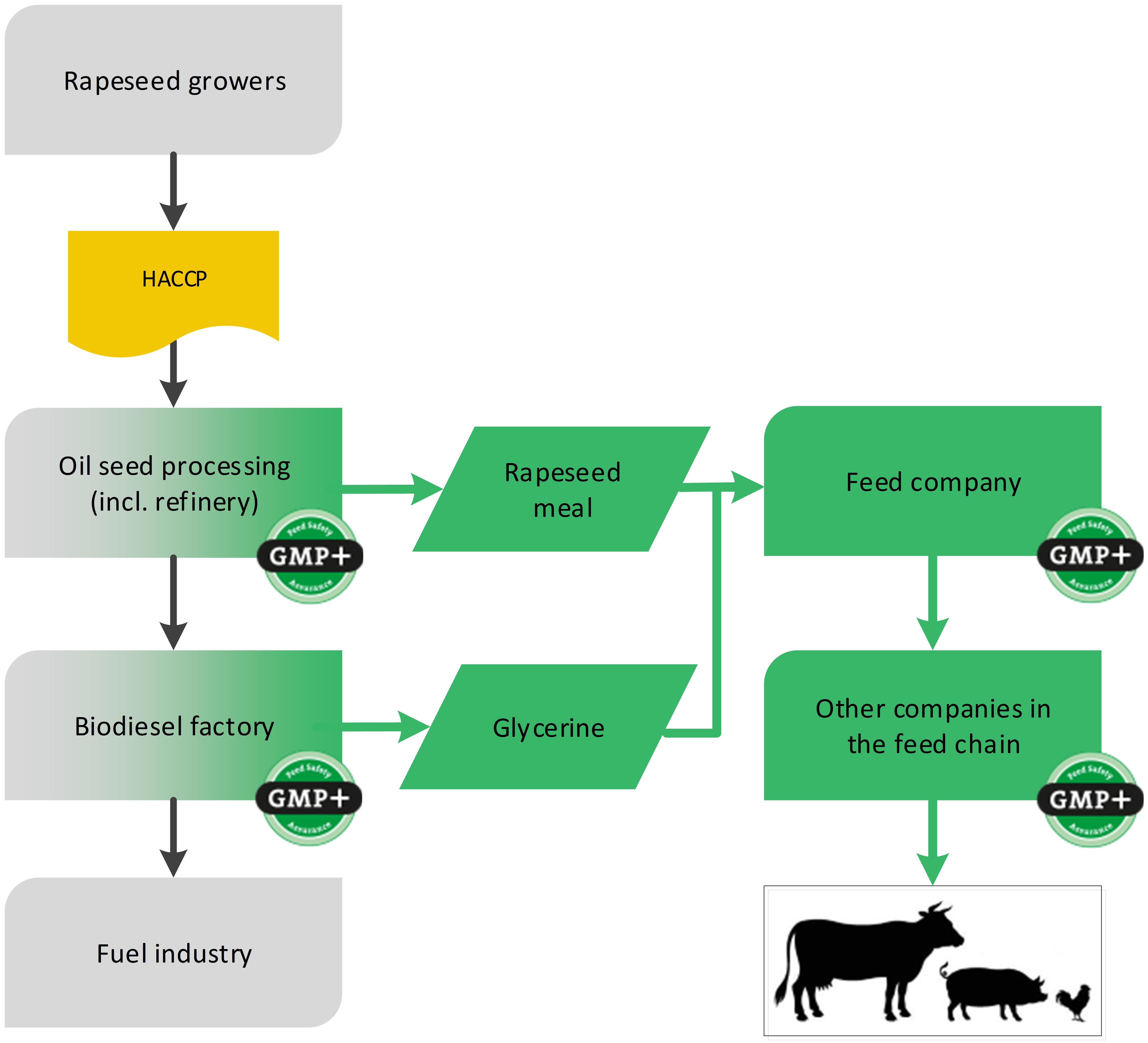 GMP+ International | S9.3 - Explanation of GMP+ feed chain