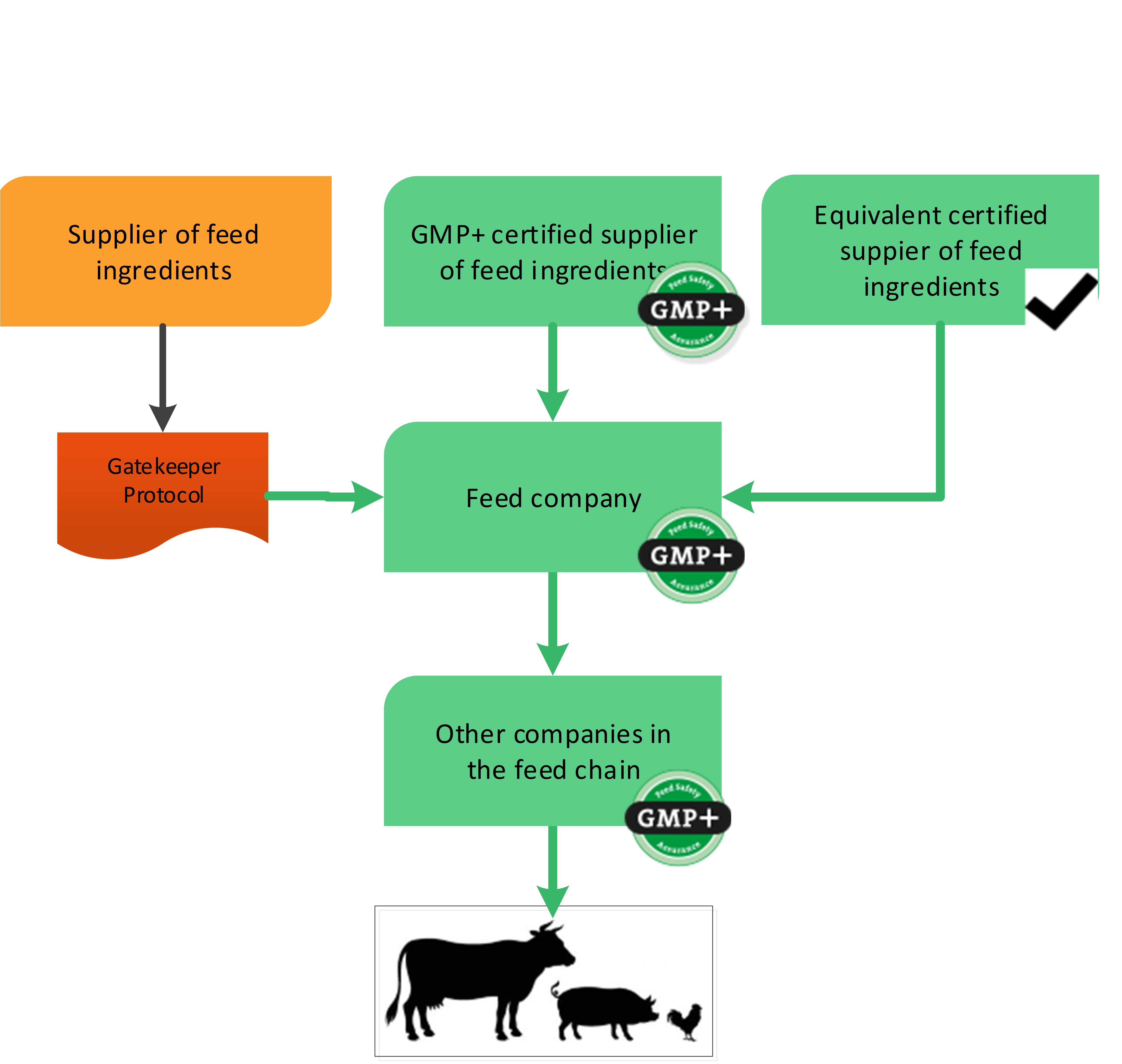 GMP+ International | S9.3 - Explanation of GMP+ feed chain